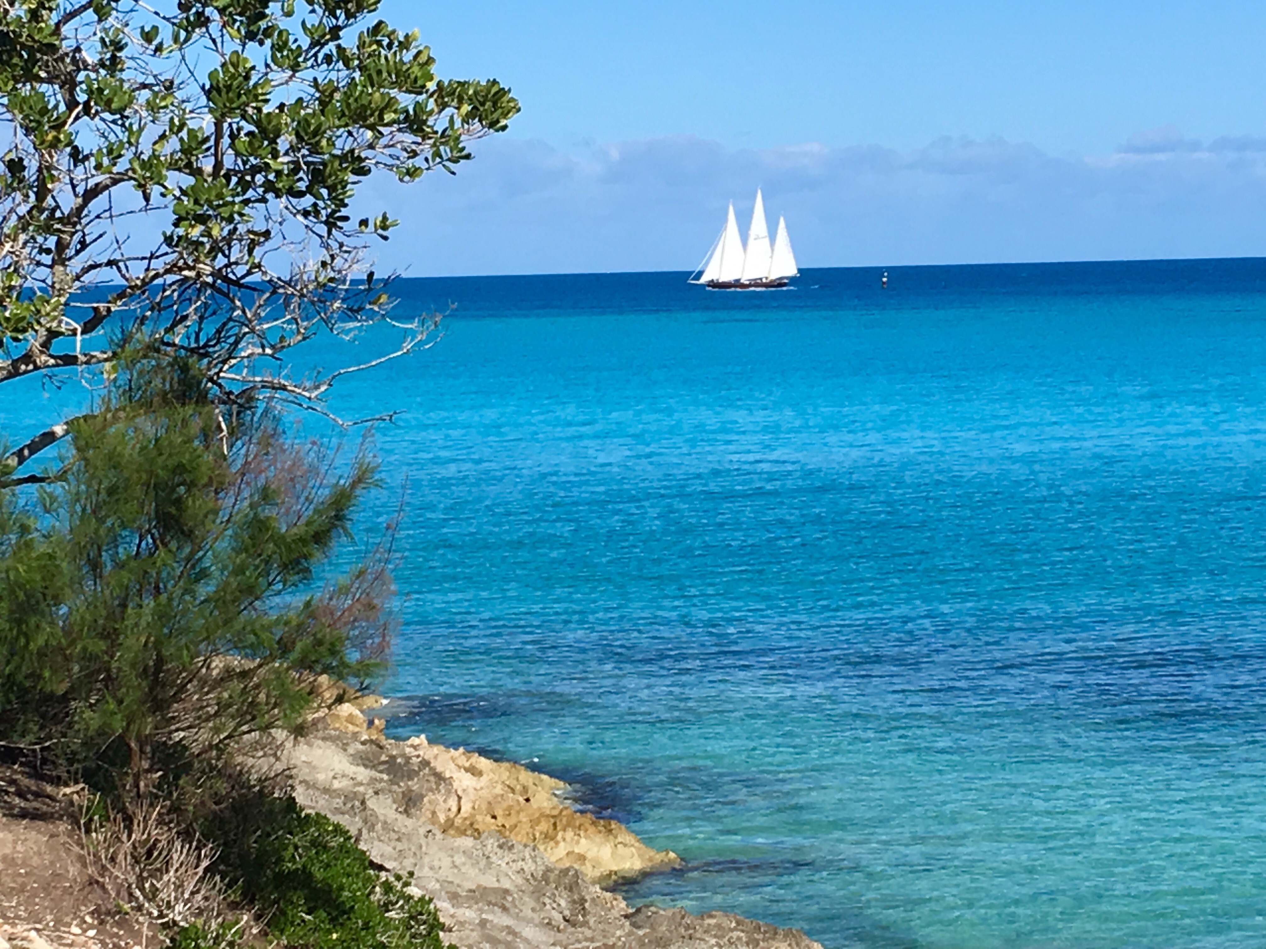 Bermuda Winter – lillian the home poet