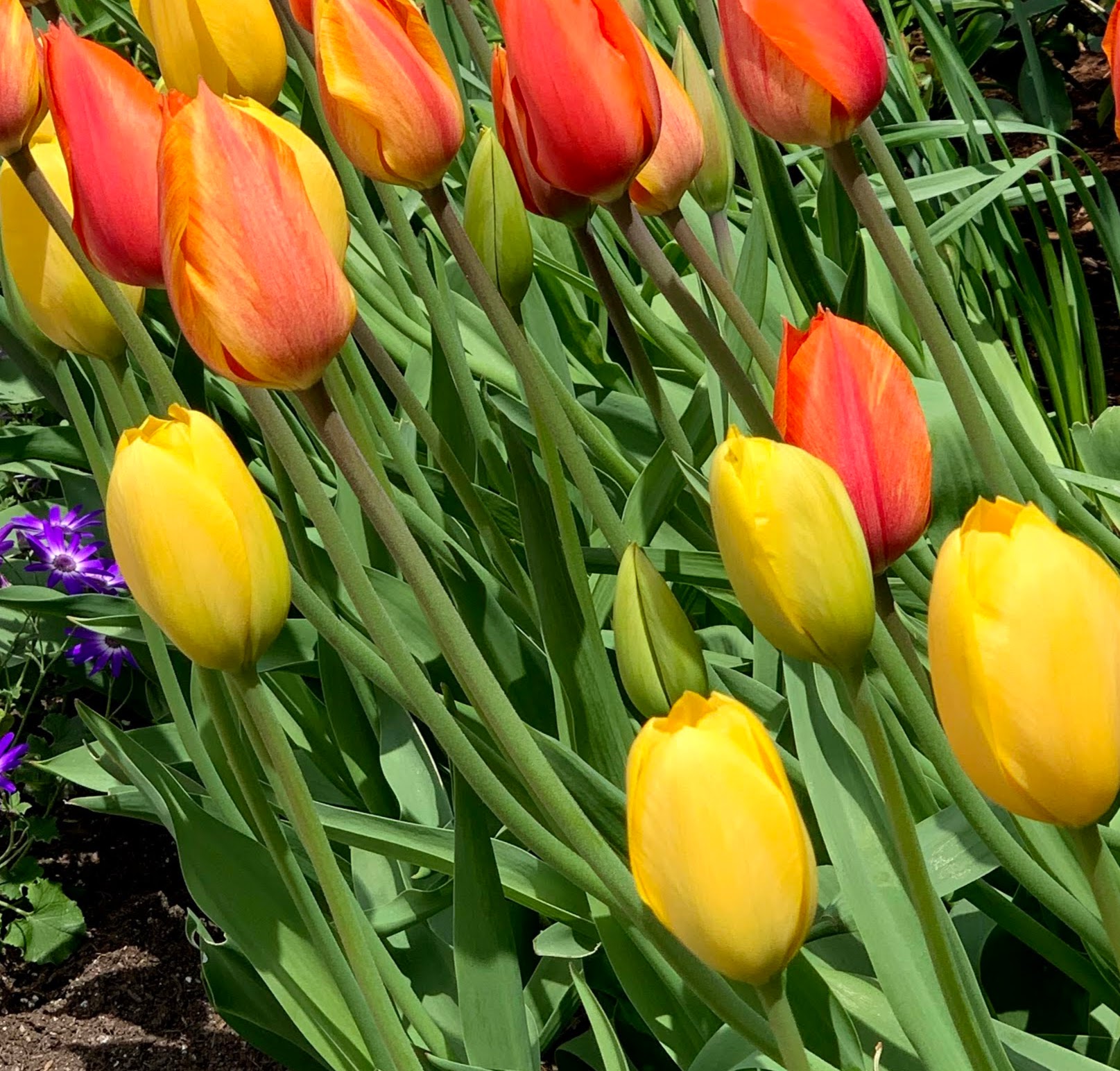 We Are Family – lillian the home poet