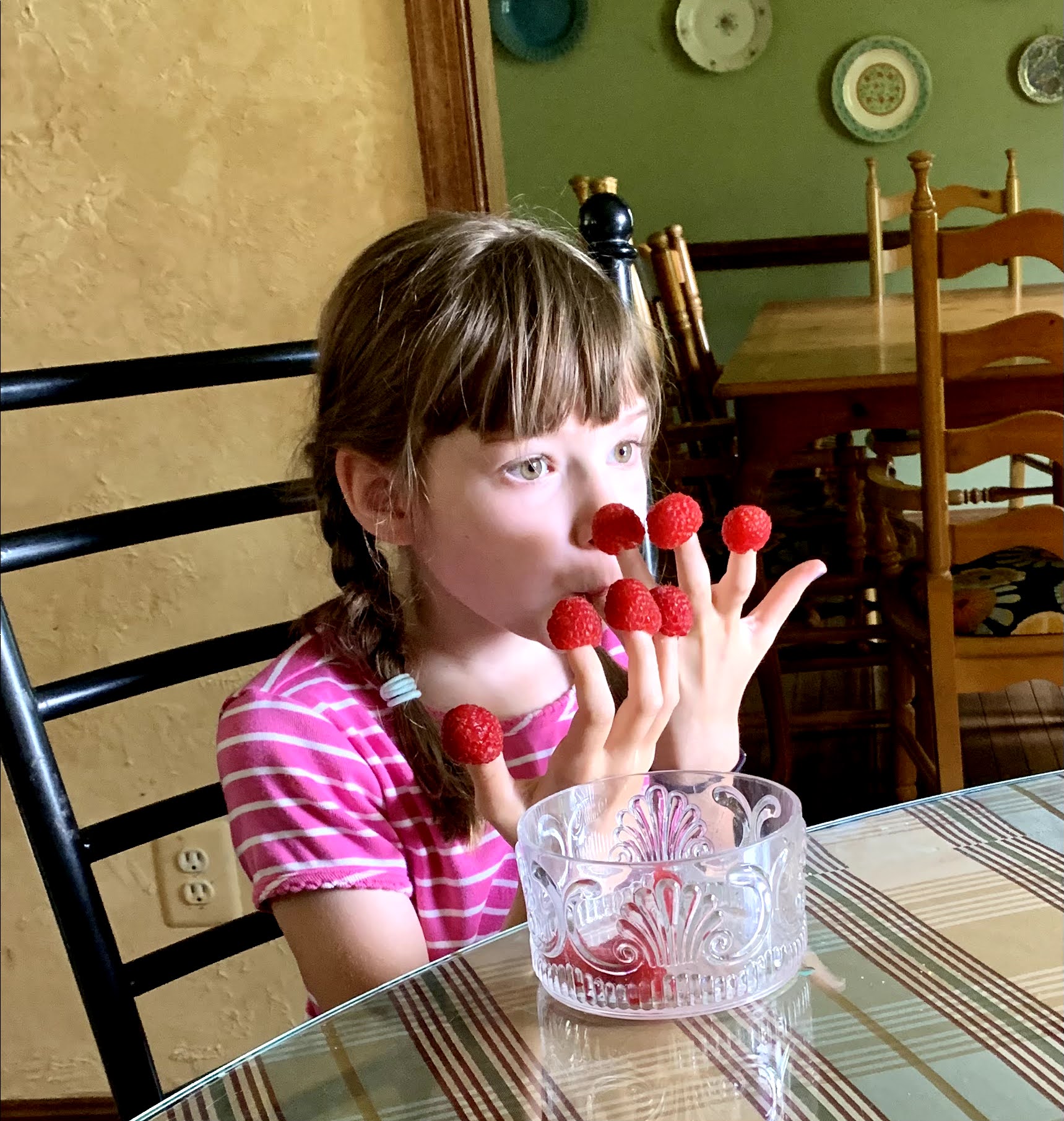 A Poem and its Palinode – lillian the home poet